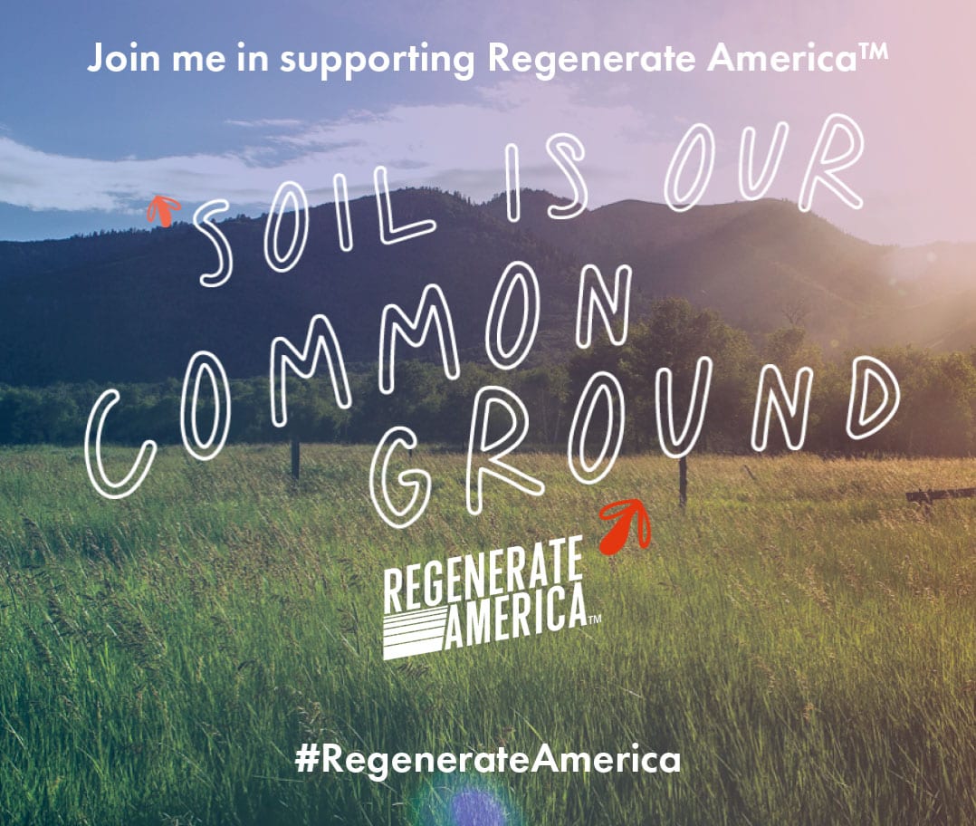 Share - Common Ground Film